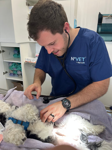 NxVET